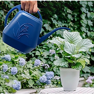 UFANME Plant Watering Can with Long Spout for Inoor and Outdoor - 1/2 Gallon - Blue