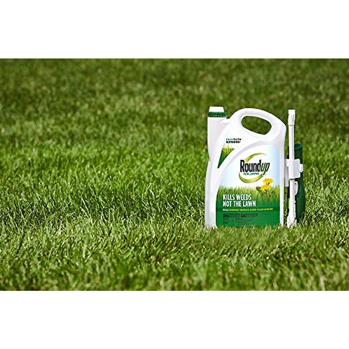 Roundup For Lawns1 Ready to Use - All-in-One Weed Killer for Lawns, Kills Weeds - Not the Lawn, One Solution for Crabgrass, Dandelions, Clover and Nutsedge, For Use on Northern Grasses, 1.33 gal.