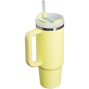 Stanley Quencher H2.0 Tumbler with Handle and Straw 30 oz | Flowstate 3-Position Lid | Cup Holder Compatible for Travel | Insulated Stainless Steel Cup | BPA-Free | Pomelo