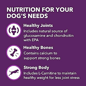 IAMS Advanced Health Mobility Support Chicken and Whole Grain Recipe Adult Dry Dog Food, 6 lb. Bag