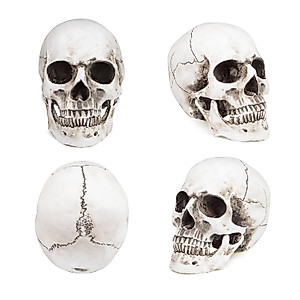 Aries Outlets Retro Human Skull Replica Resin Anatomical Model Medical Lifesize Realistic 1:1