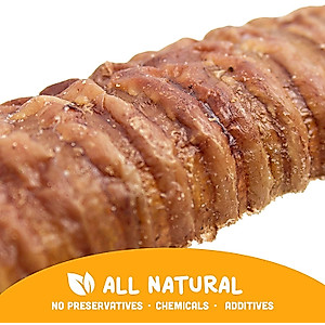 Downtown Pet Supply - Beef Trachea Dog Treats - Bully Sticks Alternative - Dog Dental Treats & Rawhide-Free Dog Chews - Glucosamine, Chondroitin, Protein, Vitamins & Minerals - 3in - 18Ct