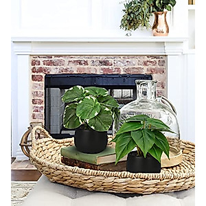 Briful 3PCS Fake Plants Potted Artificial Plants Mini Faux Plants in Black Ceramic Pots Greenery Décor for Home Office Table Room Farmhouse Indoor Decoration