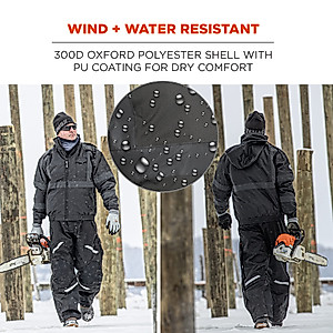 Ergodyne unisex adult Enhanced Visibility for Night Or Low Light Conditions Winter Jacket, Black, Large US