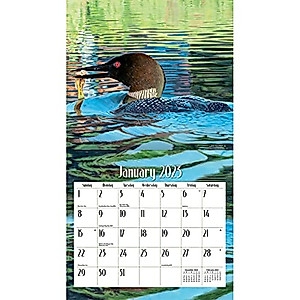 LANG LOONS ON THE LAKE 2023 WALL CALENDAR