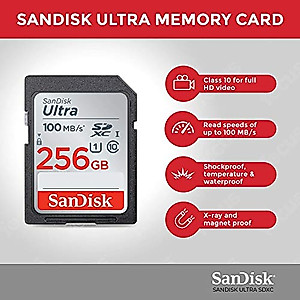 Sony Alpha a7S III Mirrorless Digital Camera with 28-135mm G-Series Lens Bundle (6 Items)