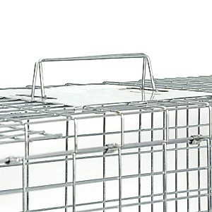 ANT MARCH Live Animal Cage Trap 32"x11.5"x13" Steel Humane Release Rodent Cage for Rabbits, Stray Cat, Squirrel, Raccoon, Mole, Gopher, Chicken, Opossum, Skunk, Chipmunks, Groundhog