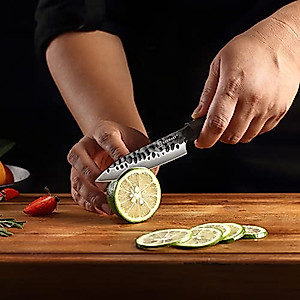 KEEMAKE Paring knife Japanese 4.5 inch Small Kitchen Knife, Forged Japanese 440C Stainless Steel Sharp Fruit Knife with Octagonal Wood Handle