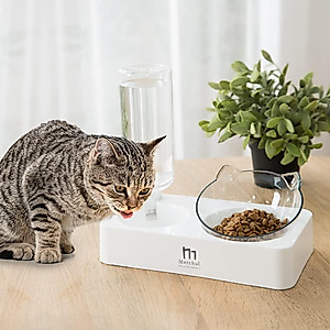 Marchul Tilted Cat Food Bowl with Feeding Mat for Food and Water, Food Feeding Dishes for Raised Cats and Puppies