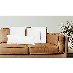 Hausattire Throw Pillow Insert 12x12 Inches - Set of 2, Premium White Pillows for Bed and Couch