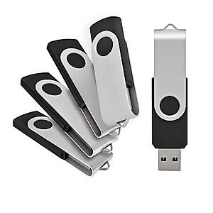 USA, (Black) Wholesale 10 Pack U Disk Bulk Pack USB Flash Drives Swivel Thumb Drive Memory Stick (10 Pack - 16MB (Not GB))