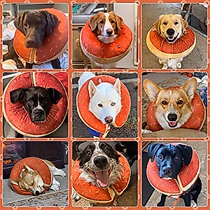 BINGPET Dog Inflatable Cone Collar, Soft Cone Collar for Dogs Cats, Washable Protective Recovery Collar for Large Medium Small Dogs, Adjustable Pet Recovery Cone After Surgery