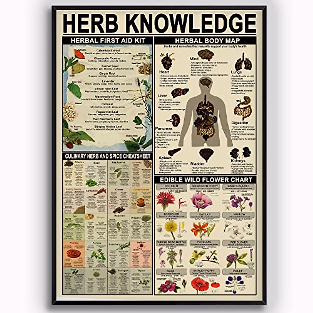 Herb Knowledge Metal Tin Signs Herbal First Aid Kit Infographic Poster Pharmacist Study Guide Tin Plaque Home Pharmacy Office Kitchen Wall Decor 8x12 Inches