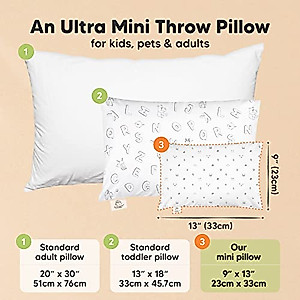 Mini Toddler Pillow with Pillowcase - 9x13 My Little Dreamy Mini Pillow, Organic Toddler Pillows for Sleeping, Kids Pillow, Small Pillows, Travel Pillows for Sleeping, Toddler Bed Pillows (Acorn)