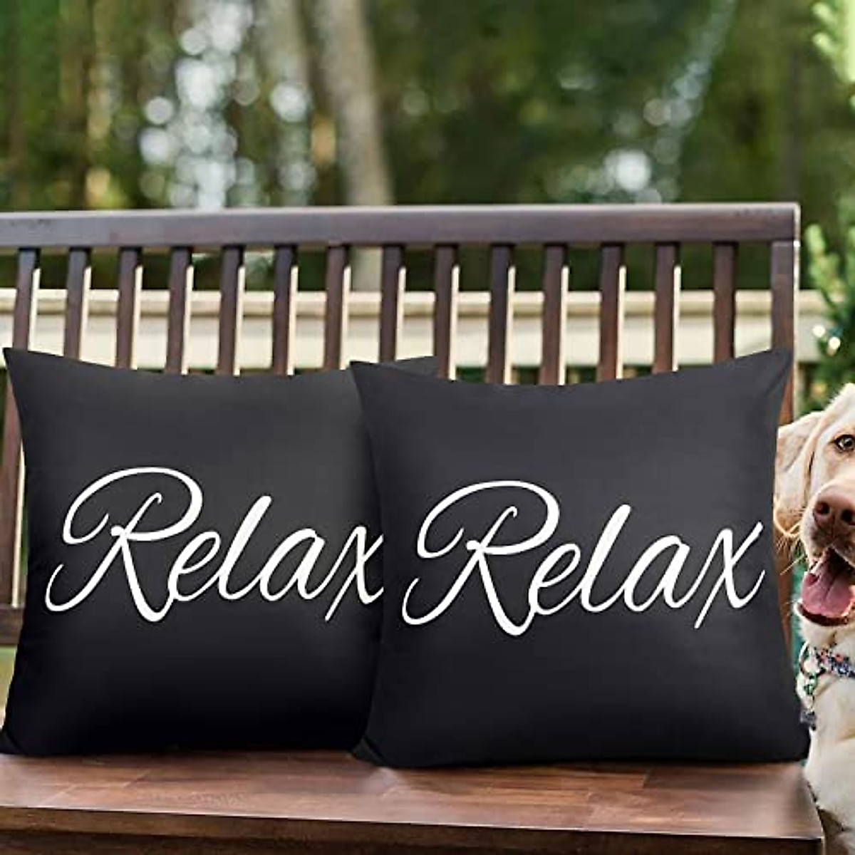 Pyonic Relax Outdooor Waterproof Throw Pillow Covers 18x18 Inch,Square Decorative Garden Cushion with Quotes & Sayings for Patiotent Couch Pack of 2,Black