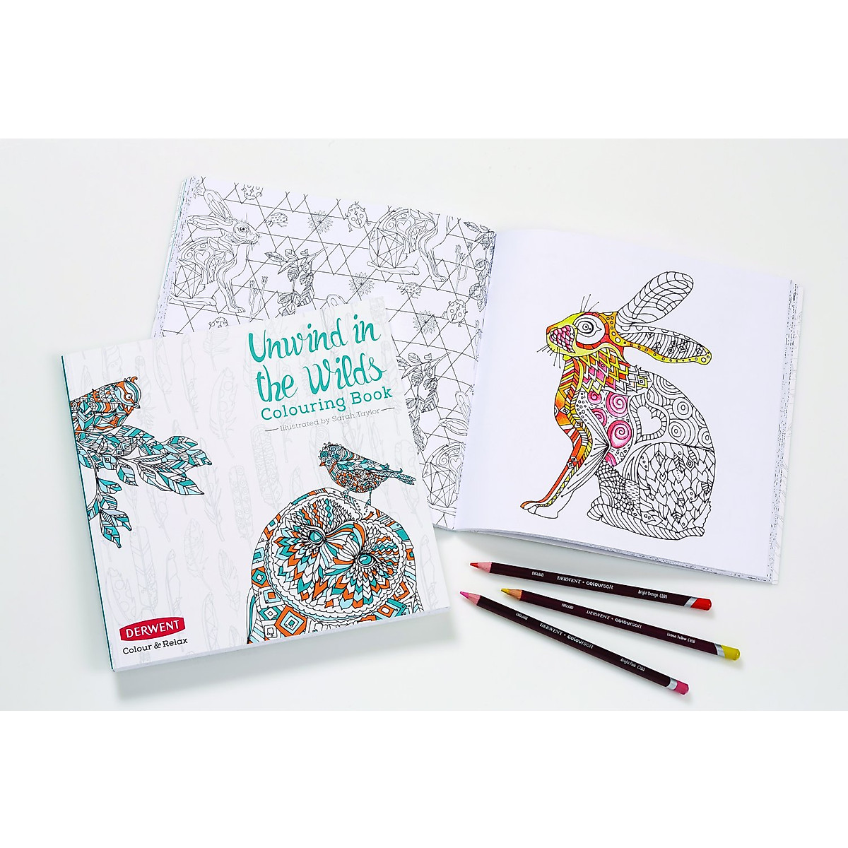 Adult Coloring Book and Coloursoft Colored Pencils: Color and Relax - Unwind in the Wilds by Derwent (2302339)