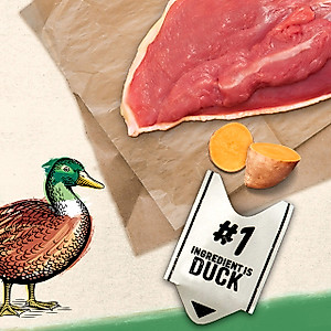 Purina Beyond Grain Free Canadian Duck and Sweet Potato Recipe Wet Cat Food Pate - (Pack of 12) 3 oz. Cans