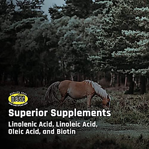 Majesty's Omega Wafers - Superior Horse / Equine Skin, Coat, and Immune Support Supplement - Omega 3, 6, 9, and Biotin - 60 Count (2 Month Supply)