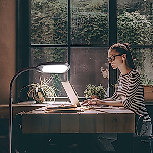 Newhouse Lighting NHFL-AP-BK Apollo LED Floor Lamp Energy-Efficient Natural Reading Artists Crafts Adjustable Gooseneck Task Light, Black