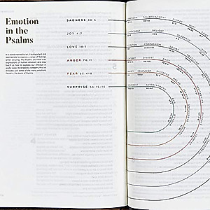 CSB He Reads Truth Bible, Black LeatherTouch, Black Letter, Wide Margins, Journaling Space, Illustrations, Reading Plans, Single-Column, Easy-to-Read Bible Serif Type