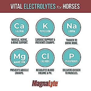 MagnaLyte Loose Salt and Electrolytes for Horses by Eagle Equine | Mineral sea Salt, Trace Minerals, Electrolytes | 6 lb Bag