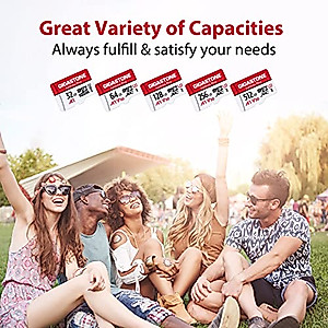 [Gigastone] 64GB 2-Pack Micro SD Card, Gaming Plus, MicroSDXC Memory Card for Nintendo-Switch, Smartphone, Fire Tablet, 4K UHD Video Recording, UHS-I U3 C10 A1 V30, up to 90MB/s, with Adapter