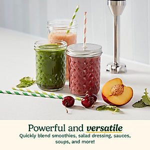 Cuisinart CSB-179 Smart Stick Variable Speed Hand Blender, Stainless Steel