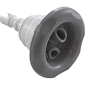 Waterway 229-8127 3.37" Threaded Poly Storm Twin Roto 5-Scal Jet Internal Gray
