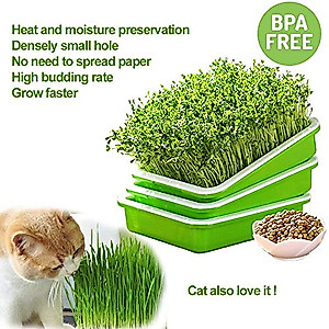 2 Pack of BPA Free Home Microgreen Soilless Hydroponics Seed Sprouter Grow Tray with Cover + Free Spray Bottle and 20 Sheets Growing Paper