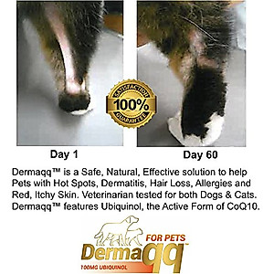 Dermaqq Ubiquinol - CoQ10 for Dogs and Cats Hot Spots, Hair Loss, Dermatitis Support (2 Boxes - 100MG softgels)