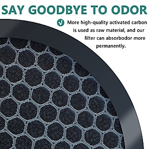 LV-H132 Replacement Filter Compatible with Levoit Filter Replacement LV-H132-RF and Levoit Air Purifier Filter LV-H132RX-RF for Levoit Air Purifier LV-H132 LV-H132RX, 2 Efficient filter & 8 Pre-Filter