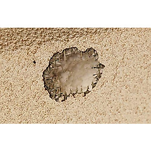 Bird Banisher Woodpecker Deterrent & Bird Scare Device