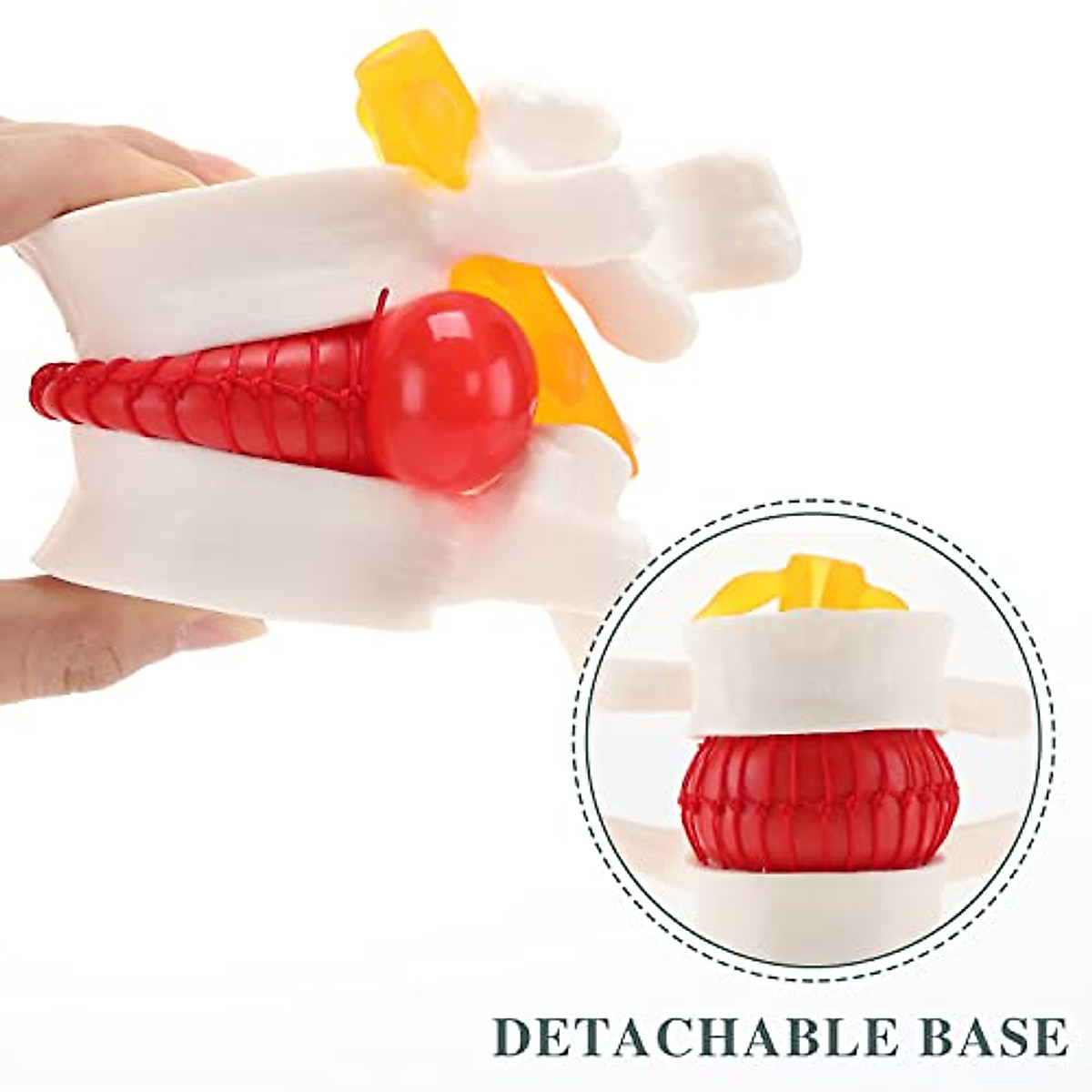 RONTEN Lumbar Disc Herniated Model, Human Anatomical Lumbar Spine Model for Medical Teaching & Learning