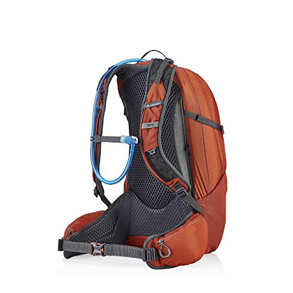 Gregory Mountain Products Men's Citro 24 H2O Hydration Backpack,Spark Orange