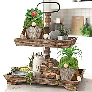Succulent Gnomes Spring Green Plants Gnomes Swedish Plush Tiered Tray Decoration Tomte Doll Decor Cacti Nordic Dwarf Spring Summer Home Stuffed Gnomes Collection Garden Gift for Her Him Plant Lover