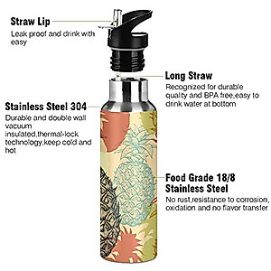 Qilmy Colorful Pineapple Water Bottle Vacuum Insulated Stainless Steel Water Bottles with Straw Lid Leakproof Wide Mouth Water Flask for Fitness Outdoor Sports, 20 oz