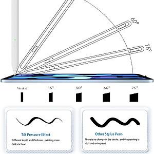 Stylus Pen for iPad 9th&10th Generation Palm Rejection with Pen Case Magnetic Stylus for Apple Pencil,Pen for Apple iPad Compatible with (2018-2023) iPad Pro 11&12.9 inch, ipad 9th Gen