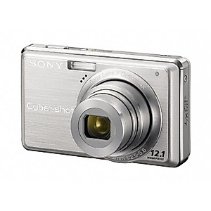 Sony Cybershot DSC-S980 12.1MP Digital Camera with 4x Optical Zoom with Super Steady Shot Image Stabilization (Silver)