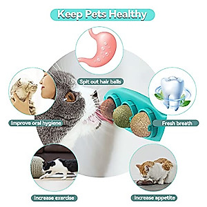 Petslucent 3in1 Cat Catnip & Silverine Balls Wall Toys for Indoor Cats (Blue)