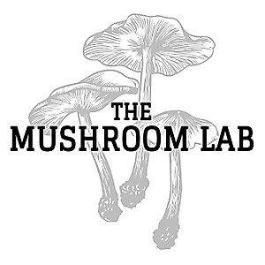 Mushroom Liquid Culture - Black Pearl King (Pleurotus eryngii/ostreatus)