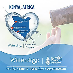 Waterdrop AP431 Replacement Cartridge for Aqua-Pure AP431 Hot Water Scale Inhibitor for AP430SS, Prevent Scale Accumulation and Protect Water Heaters, Pack of 1