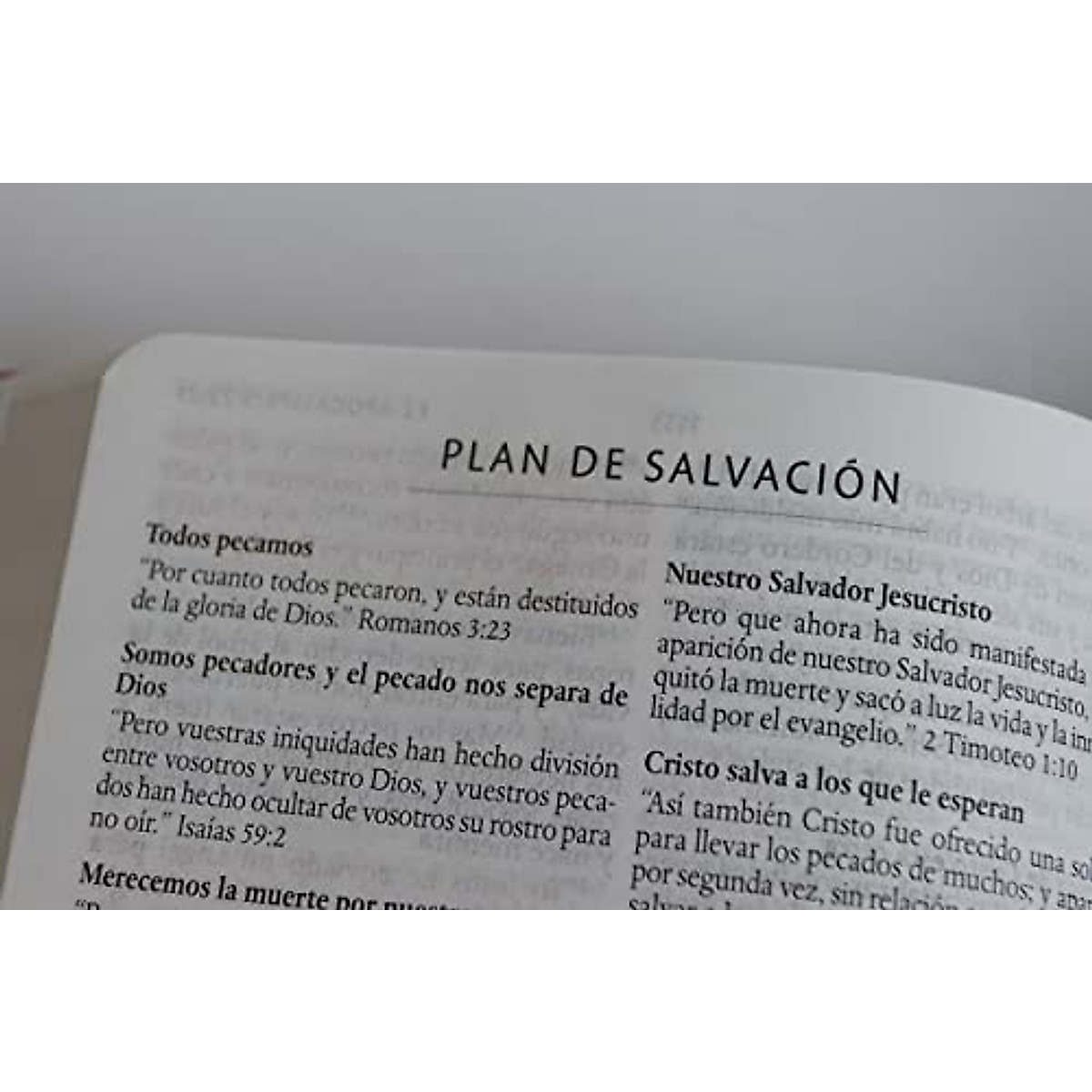 Biblia RVR 1960 letra grande. Tapa dura tela azul púrpura con flores tamaño manu al / Bible RVR 1960 Handy Size Hardcover Cloth with Purple Blue Flowers