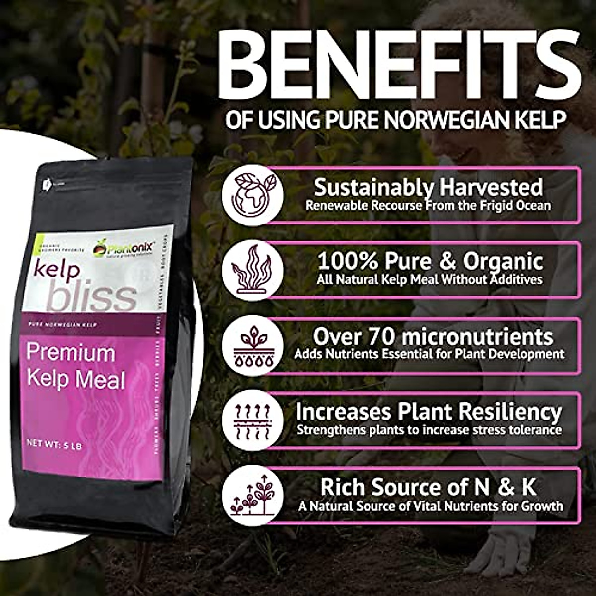 Kelp Bliss - Pure Kelp Meal - Organic Kelp Fertilizer for Growing Healthy Plants, Crops, and Gardens! Increases Fruit and Vegetable Yield! (1 lb)