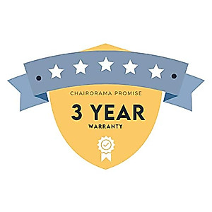 Herman Miller Mirra Home Office Chair Fully Adjustable Graphite Renewed by Chairorama.