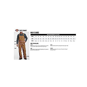 Dickies mens Painters Bib overalls and coveralls workwear apparel, White, 34W x 30L US