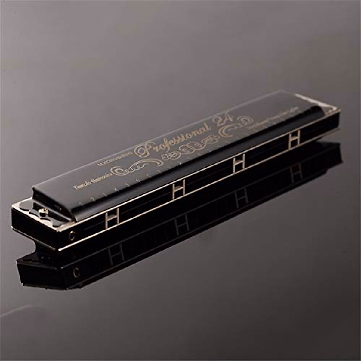 Harmonica Harmonica 24 Hole Polyphonic Hole Sound Professional Performance C HarmonicaAdvanced Beginners Practice Self-Study C Harmonica Instrument178 * 28 * 22mm Harmonicas