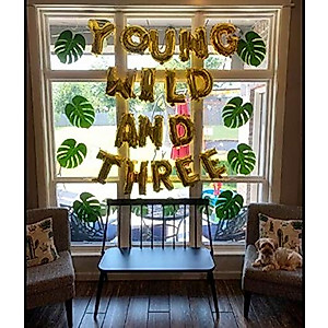 LaVenty 13PCS Young Wild and Three Balloon Young Wild and Three Banner Young Wild and Three Decorations for Boy Girl Third Birthday Decorations 3 Year Old Birthday Decor 3rd Birthday Balloon