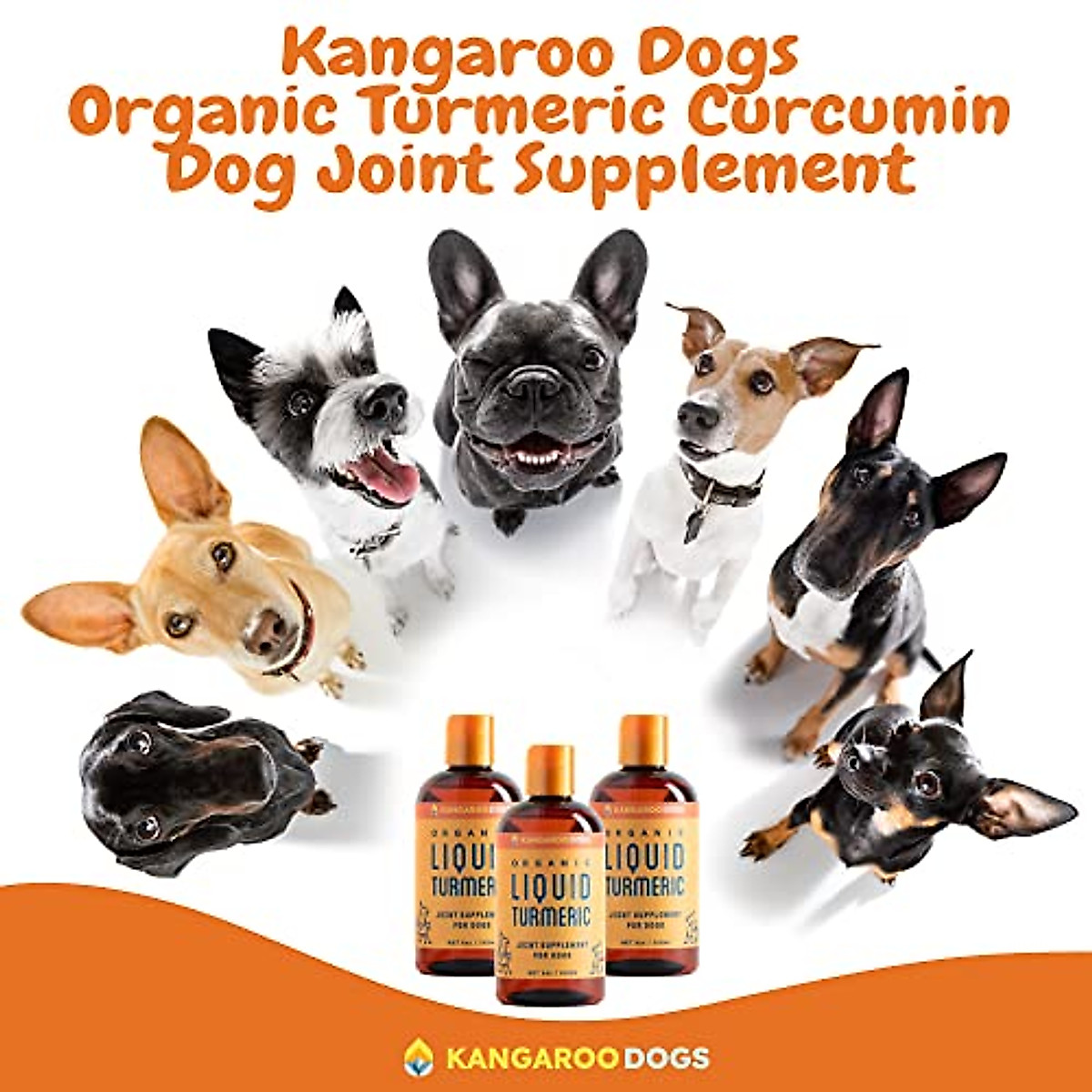 Kangaroo Dogs Organic Turmeric Curcumin Dog Joint Supplement - Liquid for Faster and Better Absorption Natural Dog Joint Supplement Liquid (8 oz)