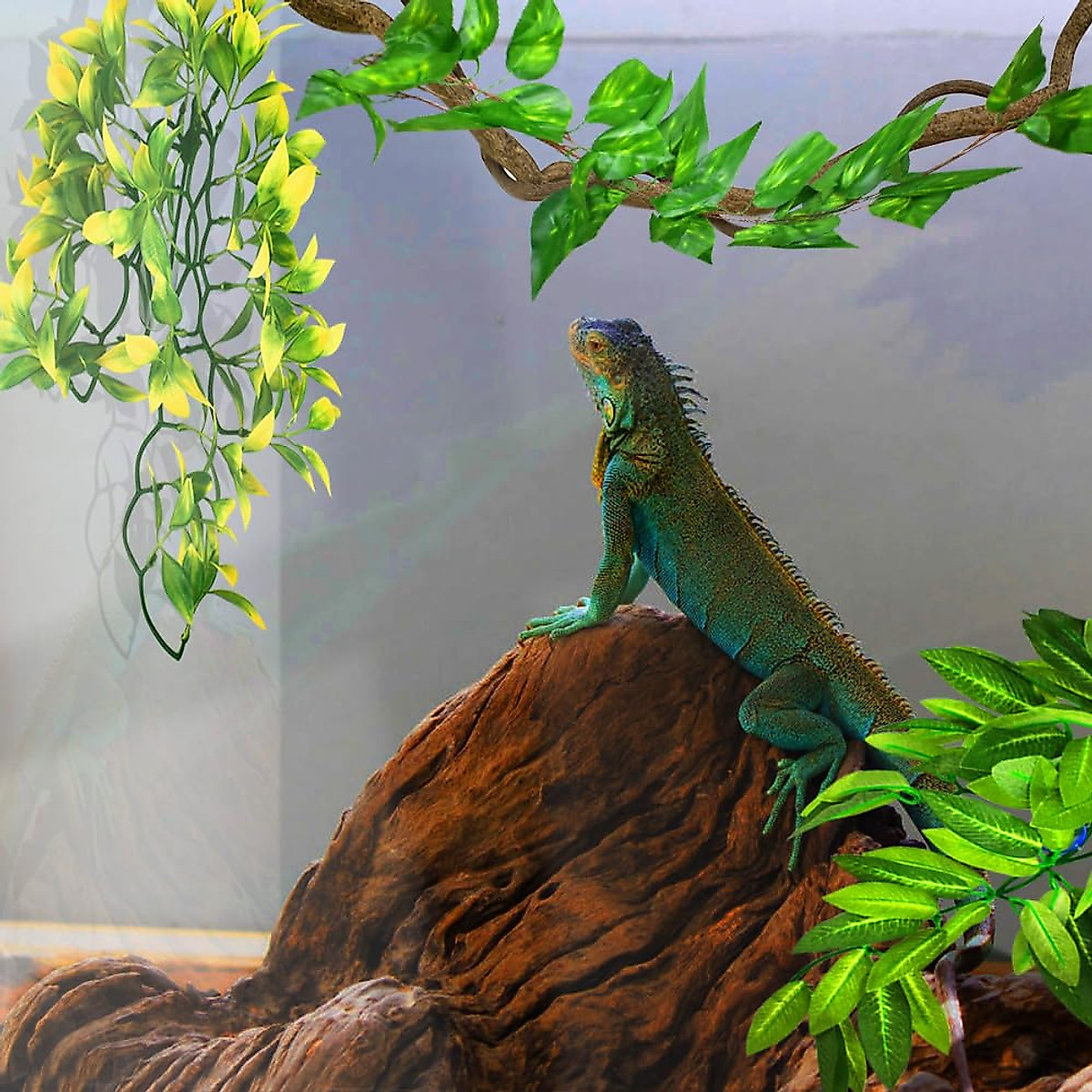 KATUMO Reptile Plants, 3 PCS Amphibian Hanging Plants with Suction Cup for Lizards, Geckos, Bearded Dragons, Snake, Hermit Crab Tank Pets Habitat Decorations