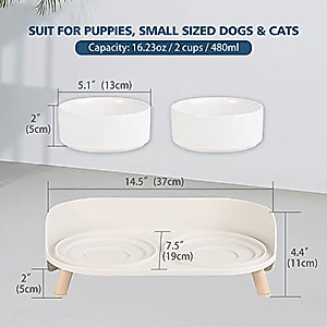Cat Bowl for Food and Water - Elevated Dog Bowls with Stand - Raised Dog Cat Bowl Set - Double pet Bowl Dish for Small Dog | Cat | Puppy | Rabbit and with Splash Proof Guard for Less Mess